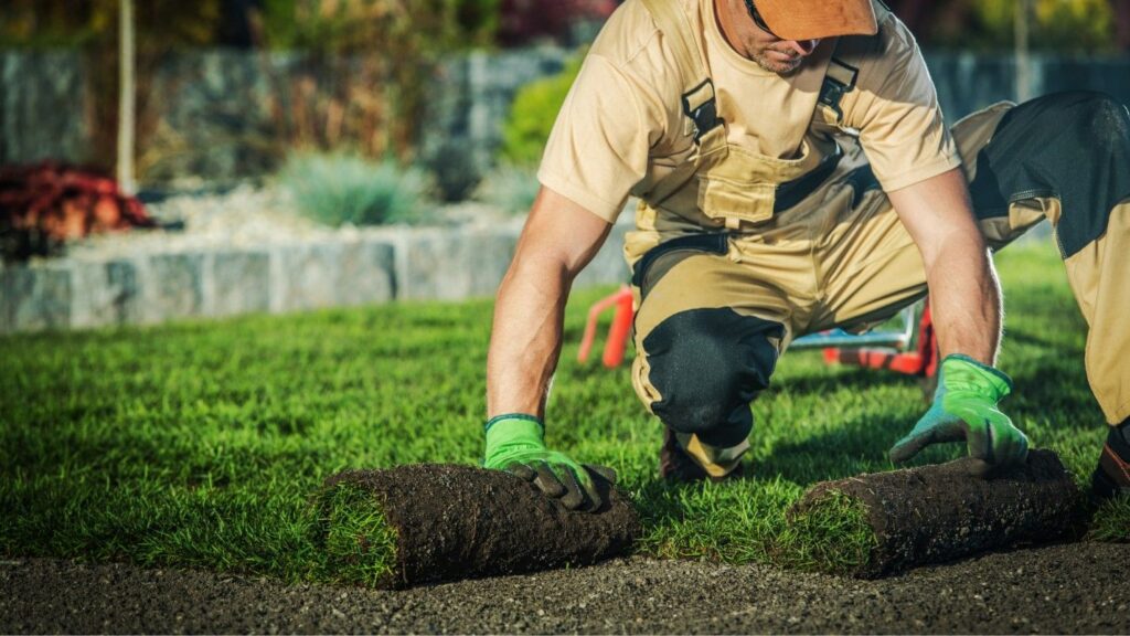 All About Topsoil: Why You Need it for Your Landscaping!