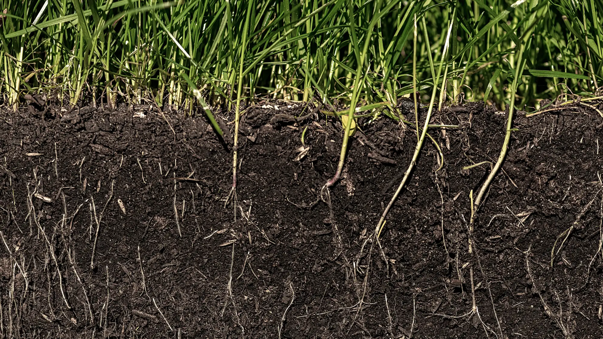 Topsoil Delivery in Vallejo: Quick Tips for Commercial Projects